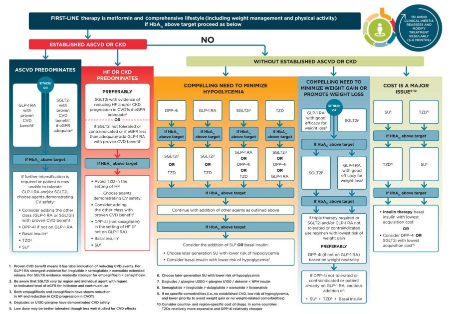 Medication selection in type II diabetes | Zulfiqar Rana, MD, MPH, FACP